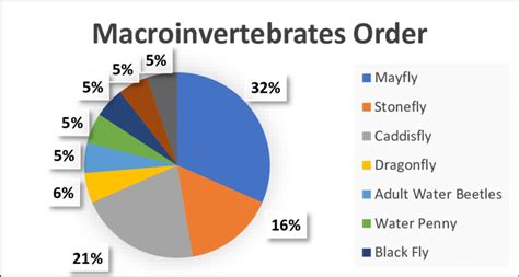 Percentage Of Macroinvertebrates Order Download Scientific Diagram
