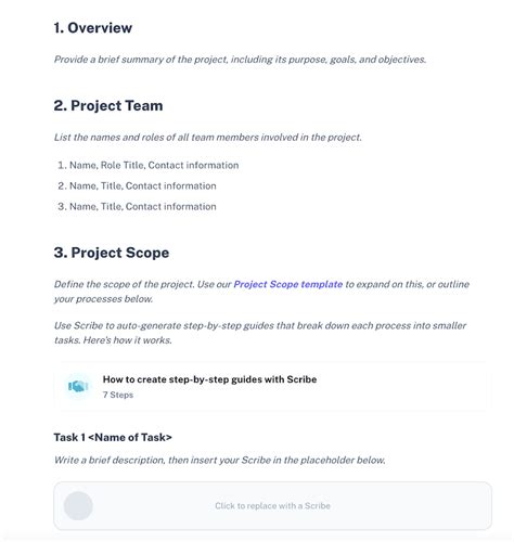 Project Documentation Template Scribe