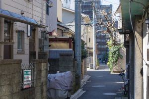 健診帰りの大都会 一日一猫