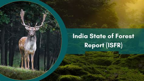 Jk Has Most Productive Forests Of India Isfr 2023 Daily Excelsior