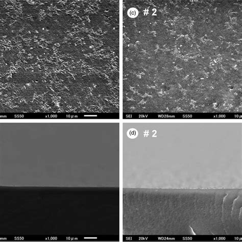 Sem Analysis Of Biofilm Coverage And Thickness Following 6 Weeks Of