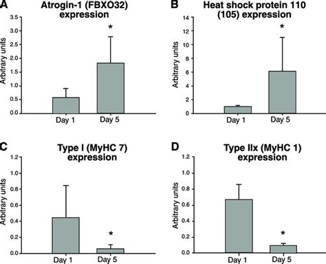 Microarray Results Validated By Real Time Rt Pcr Atrogin 1 A And