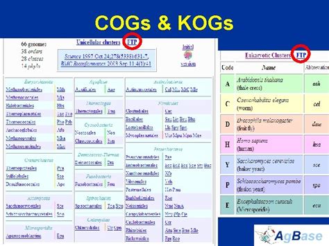 modeling functional genomics datasets cvm 8890 101 lesson