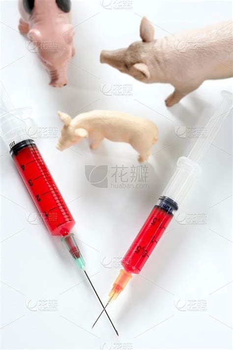 甲流疫苗的隐喻