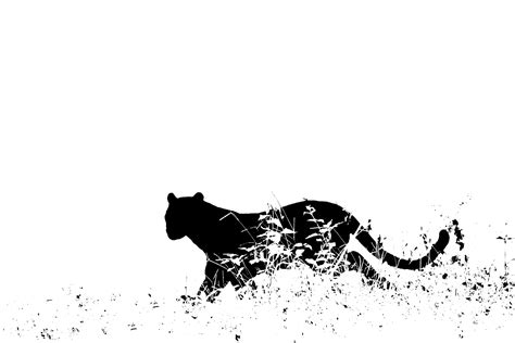 8 Bit Vs 16 Bit Images Sydney Photographs