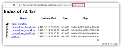Python 用 Chromedriver 实现登录和签到 Charygao 博客园