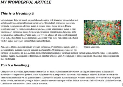 Wordpress Editing Tips Part 2 Images Marion Marketing