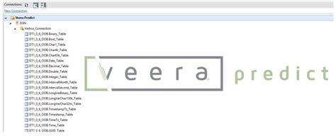 Vertica Integration With Veera Predict Connection Guide