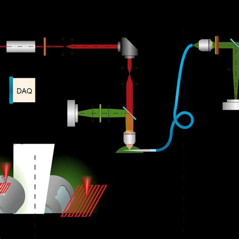 A Custom Two Photon Microscope For Spatially Restricted Laser Download Scientific Diagram