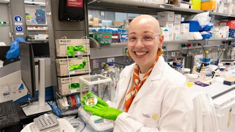 Prbb Barcelona Biomedical Research Park On Linkedin How Do Sex Hormones Affect Breast