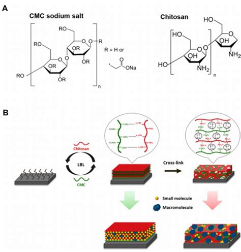 A Chemical Structures Of Chitosan And Carboxymethyl Cellulose Sodium Download Scientific