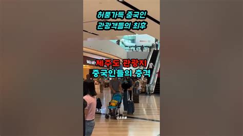 제주도 관광 중국인들이 차량을 빌려탈 수 없는 이유 사연 Youtube