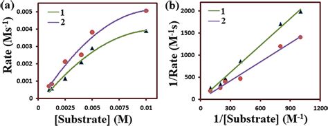 A Plot Of Initial Rates Vs Substrate Concentration Of 1 And 2 In
