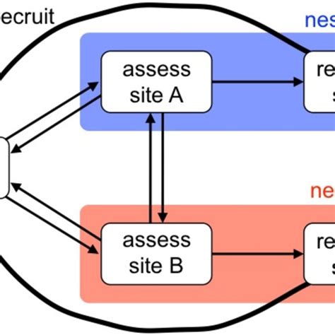 Figure S Schematic Illustration Of The Computational Model The Thick Download Scientific