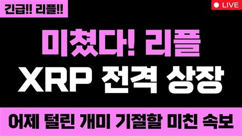 리플 진짜 미쳤습니다 미쳤다 리플 Xrp 전격 상장 대박입니다 어제 털린 개미 기절할 미친 속보 Xrp 무조건 올라요 엑스알피