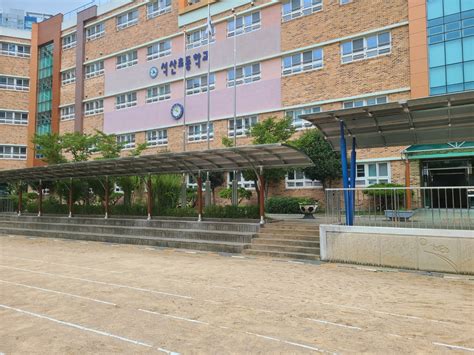 캐노피 갤러리 라운딩캐노피 초등학교 운동장 스탠드 차양 및 지붕교체