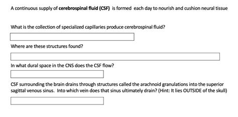 Solved A Continuous Supply Of Cerebrospinal Fluid Csf Is Formed Each