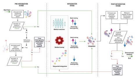 Characterizing The Impacts Of Dataset Imbalance On Single Cell Data
