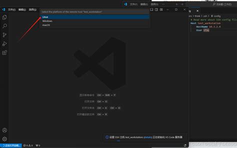 vscode连接远程docker环境 vscode docker csdn博客