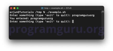 Bash While Loop