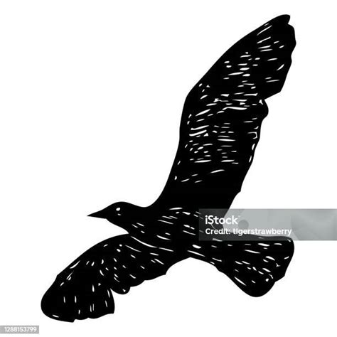 검은 갈매기 손으로 그린 스트로크 해양 갈매기 새 그리기 스케치입니다 선원을위한 영감 몸 플래시 문신 잉크 해상 벡터 0명에 대한 스톡 벡터 아트 및 기타 이미지 Istock