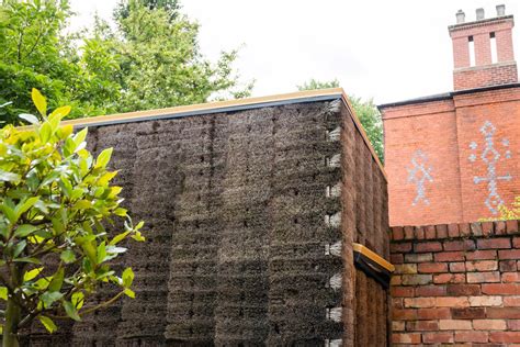 Articles About Slowhairypenetration On Dwell