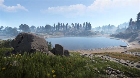 Time To Kill News — Rust