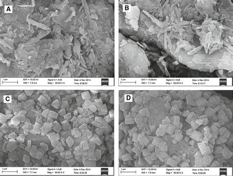 The Scanning Electron Microscopy Sem Photos Of A Kaolin B