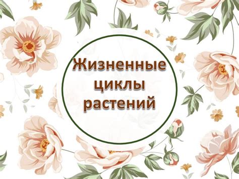 Жизненные циклы растений Online Presentation