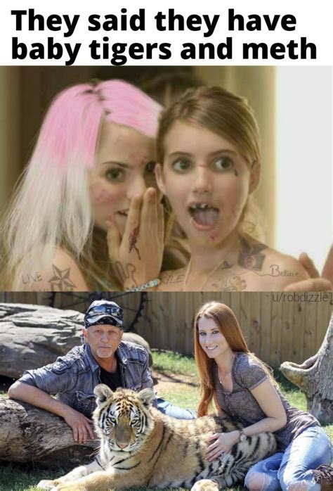 Lions And Tiger And Bears Oh My Rtigerking Know Your Meme