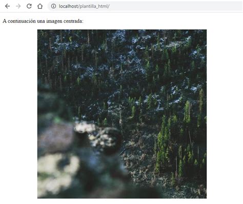 Centrar Imagen Con Css Parzibytes Blog