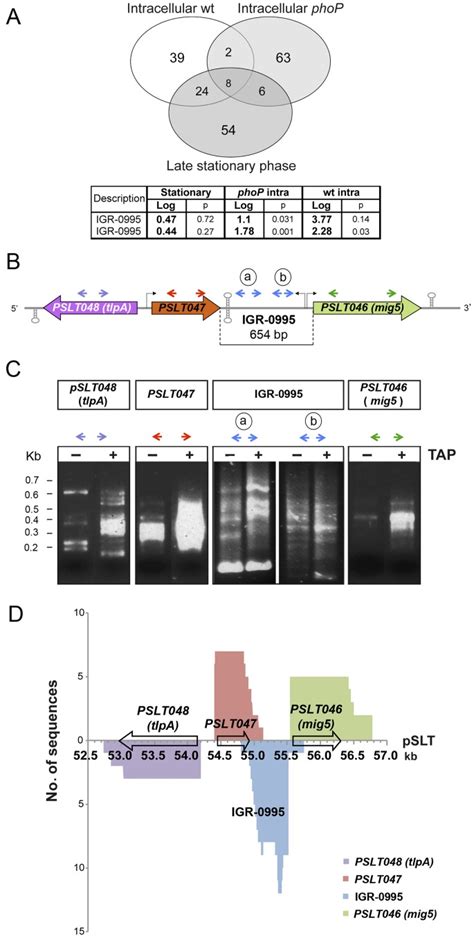 A Venn Diagrams Showing The Number Of Oligonucleotide Probes Download Scientific Diagram