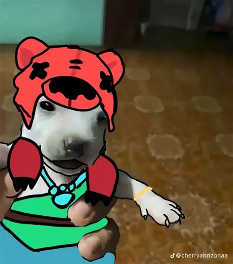 Nita Brawl Stars Icon