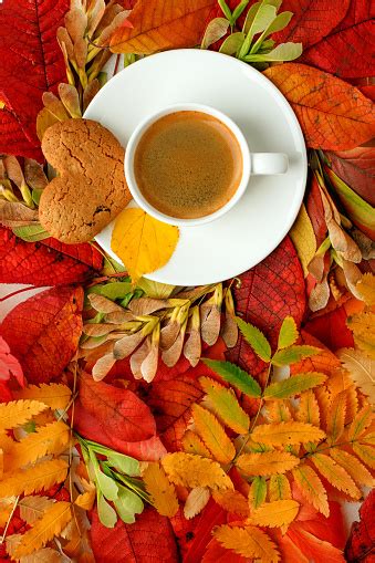 가을 단풍 뜨거운 김이 나는 커피 와 테이블 배경에 따뜻한 계절 모닝 커피 일요일 휴식과 정물 생활 밝은 카페 메뉴 컨셉 10
