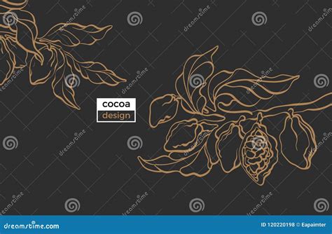 Cocoa Tree Illustration Drawing Engraving Ink Line Art Vector CartoonDealer Com 125748011
