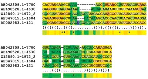 Example Alignment Output This Colored Output Was Generated By Aligning Download Scientific
