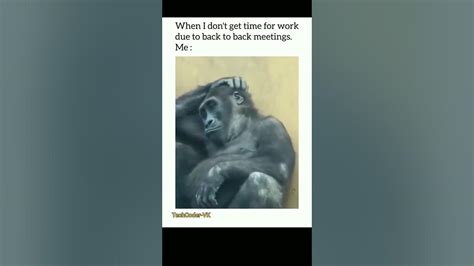 😆😁programming Webdevelopment Project C Javascript Shortvideo Youtube