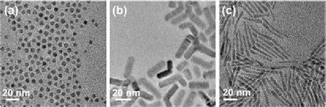 Figure 1 From Shape Dependence Of Pressure Induced Phase Transition In