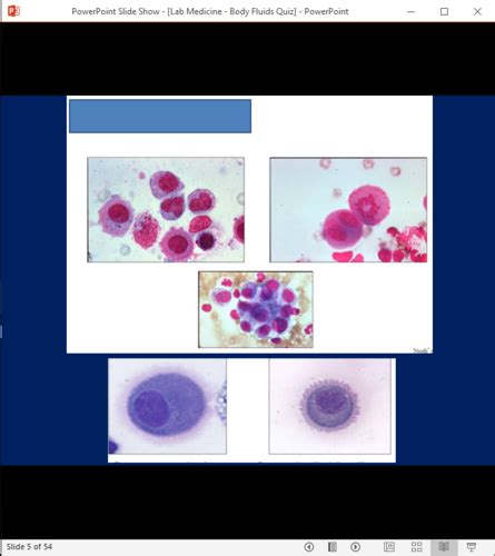 Body Fluids Flashcards Quizlet