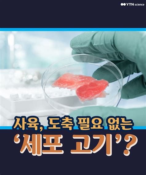 사육 도축 필요 없는 미래식량 ‘세포 고기 — Synthesis Based Biofusion Technology Lab