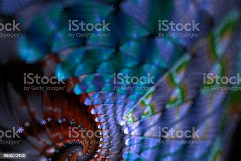 추상 프랙탈 배경입니다 색 불꽃입니다 멀티 컬러 텍스처 그림을 추상화 합니다 모션 휴일 배경입니다 현대 다 색 미래 동적 패턴입니다 크리에이 티브 그래픽 디자인에 대 한