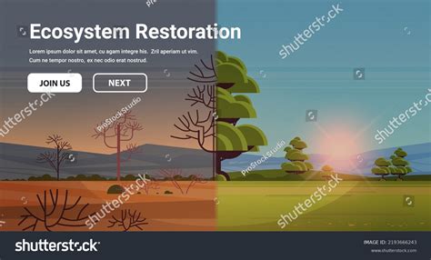 Nature Landscape Before After Ecosystem Restoration Stock Vector Royalty Free 2193666243