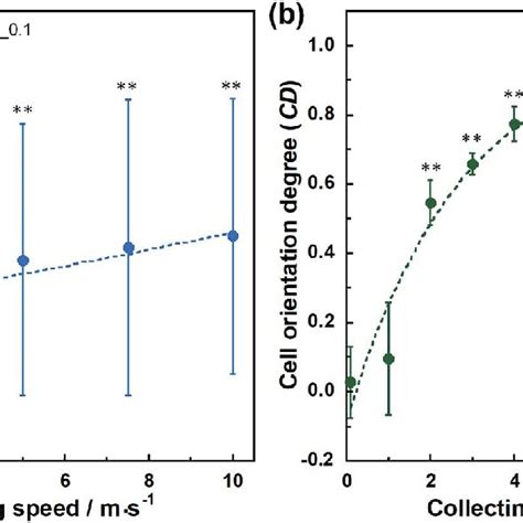 A Schematic Illustration Of The Analysis Of Apatite Orientation Using