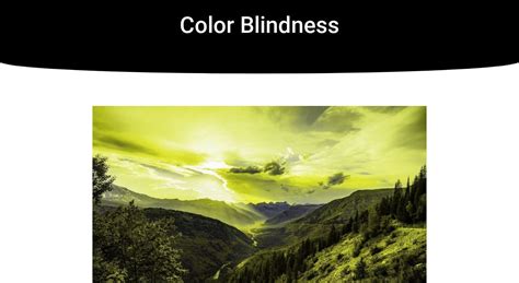 Color Blindness Iristech