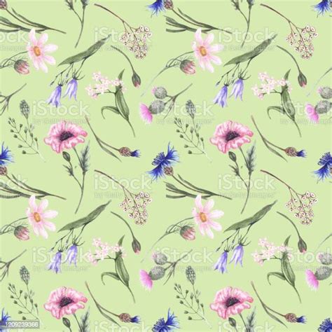 아름다운 야생화의 이미지와 원활한 패턴 양귀비 카모마일 옥수수 꽃 엉겅퀴 종 밝은 녹색 배경에 0명에 대한 스톡 벡터 아트 및
