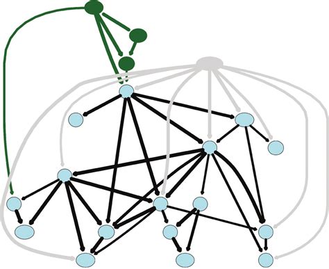 Average Network Analysis From Cross Validation By Bootstrapping 10 000