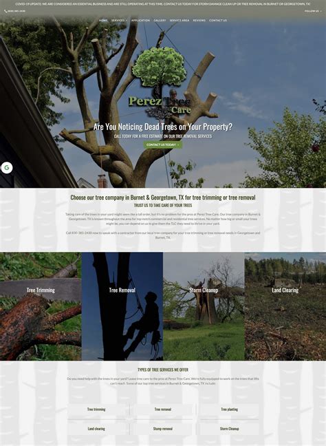Top Tree Service Web Designs Townsquare Interactive