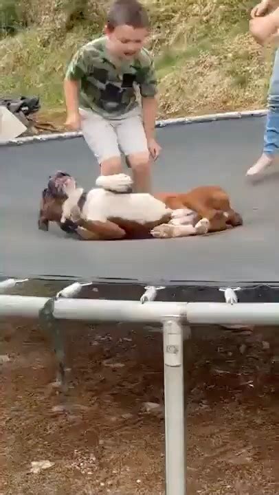 Paul Smielecki Posted On Linkedin