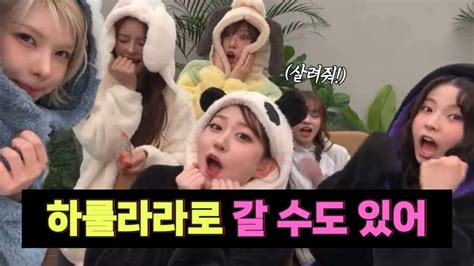 [엔믹스] 미친 케미와 텐션이면 하룰라라로 갈 수도 있어 Youtube