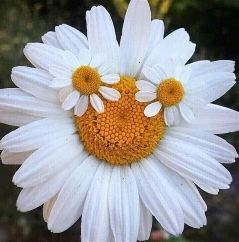 Всеки ден се случват чудеса